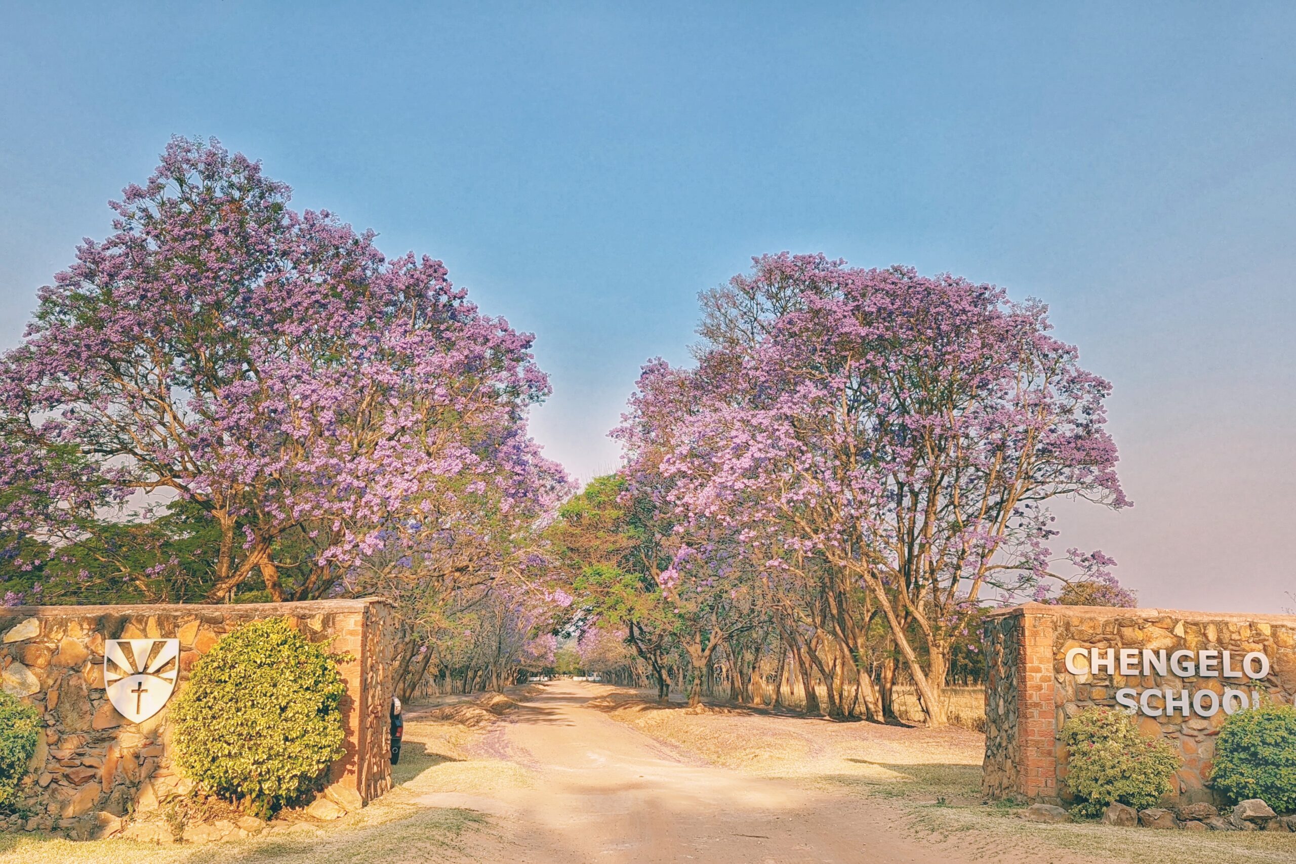 Chengelo School - BridgeU